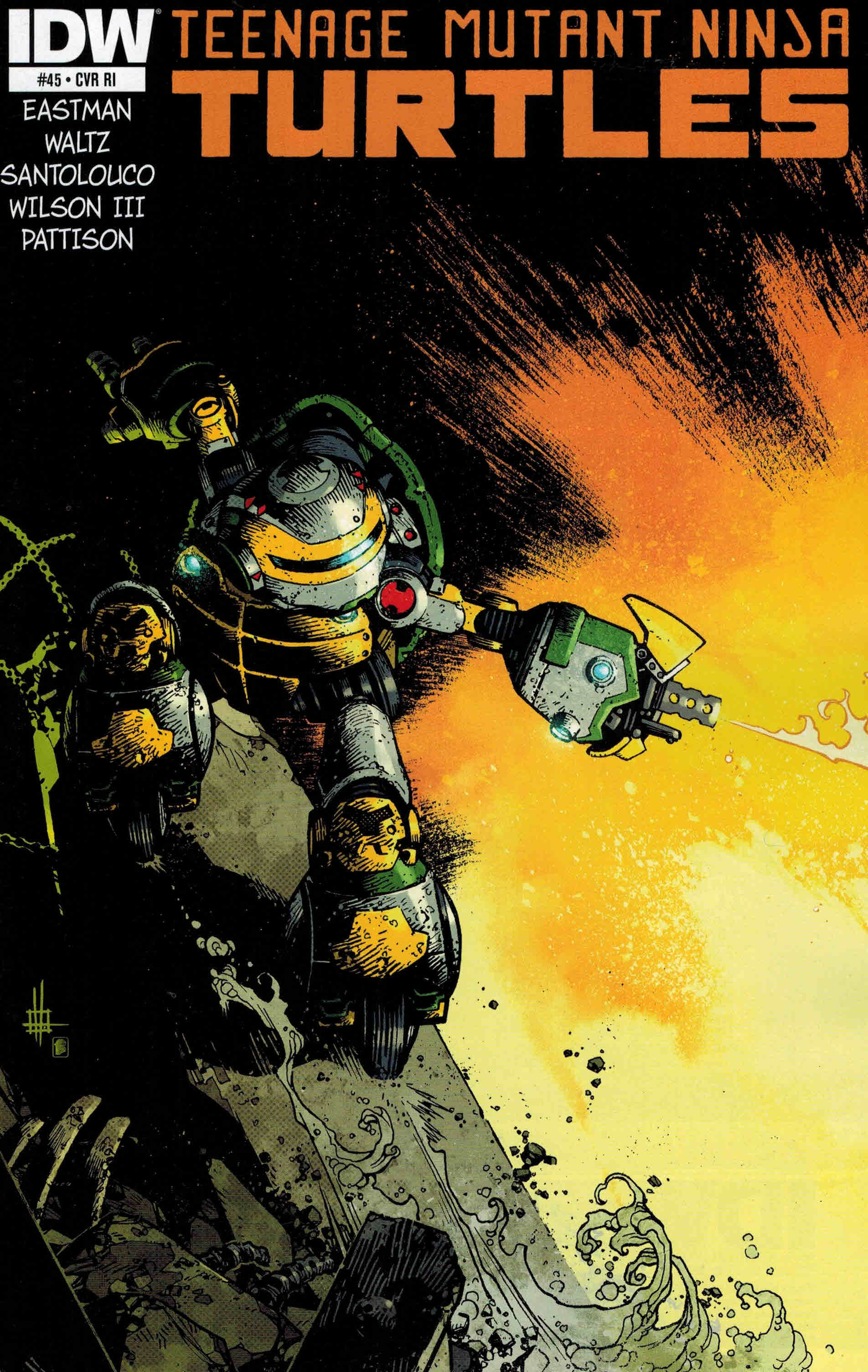 Teenage Mutant Ninja Turtles #45 1:10 Zach Howard Variant IDW RI TMNT 1 ...