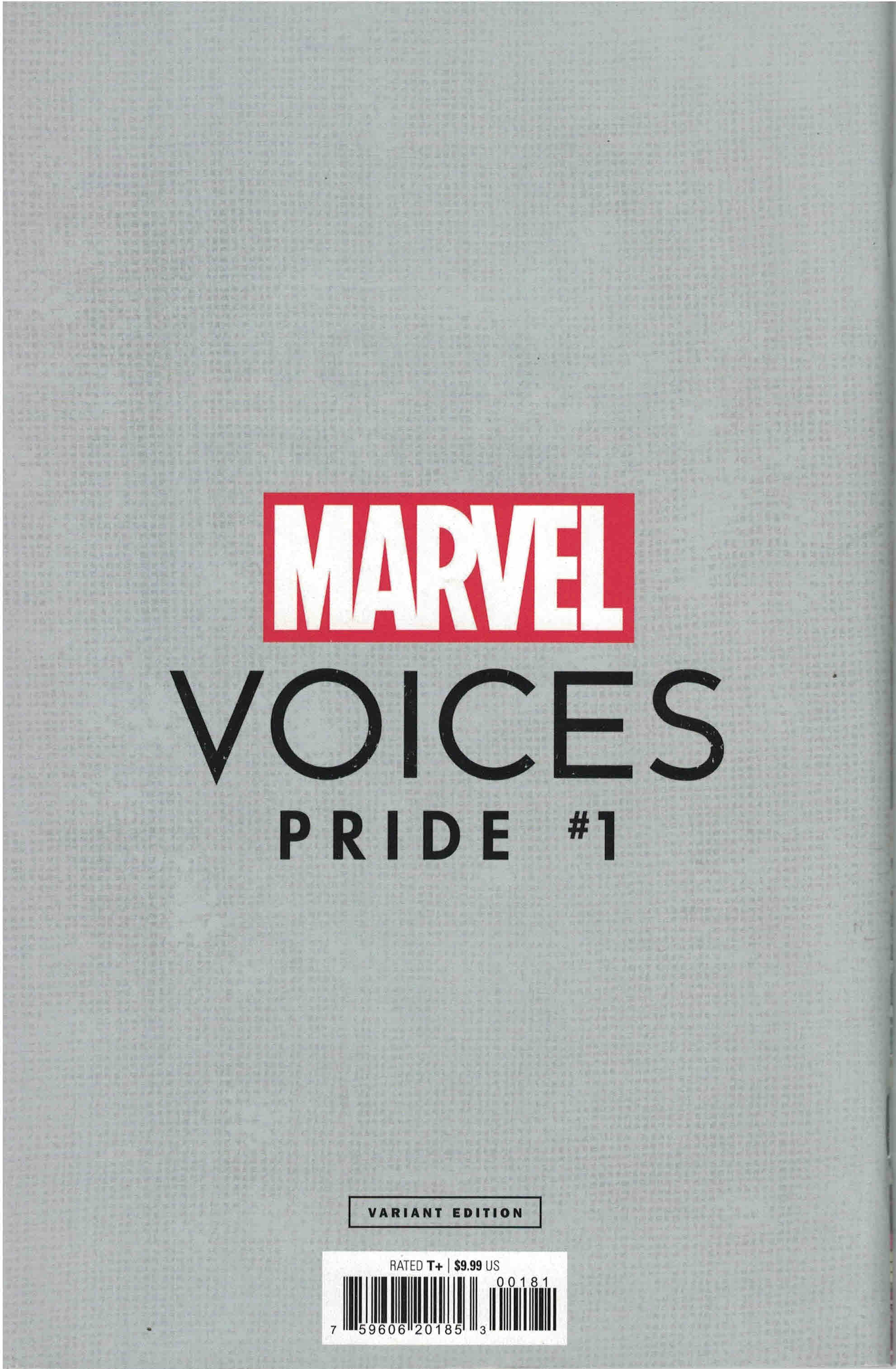 Marvels Voices Pride #1 1:25 Luciano Vecchio LGBTQIA+ Frame Variant ...